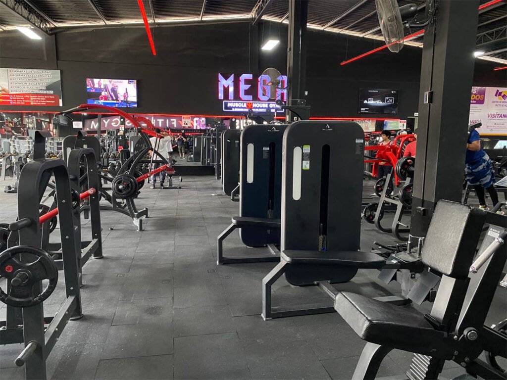 Mega Muscle House – Ibarra - Musscle House